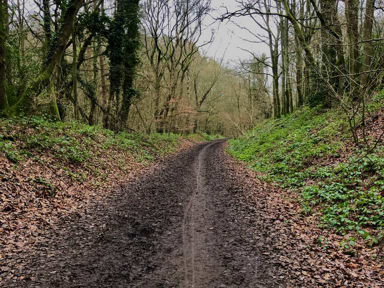 Sherrardspark Wood Cycle Routes and Map | Komoot