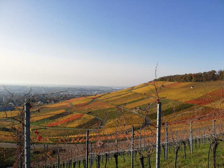 Memoriale della Seconda Guerra Mondiale nei vigneti di Wingerter ...
