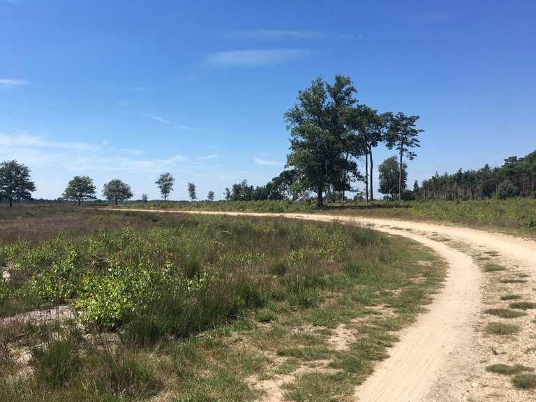 Mooi fietspad langs het water – Strabrechtse Heide, stuifzand ...