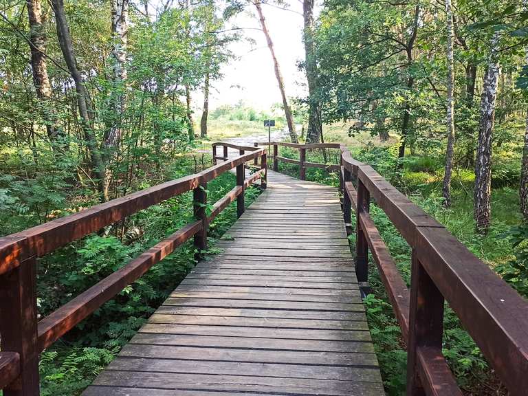 Thülsfeld dam, brug over de grote lagune - wandelroutes en hikes | Komoot