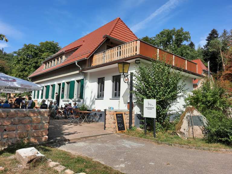 Forsthaus Annweiler/Schwarzer Fuchs: Wanderungen und Rundwege | komoot