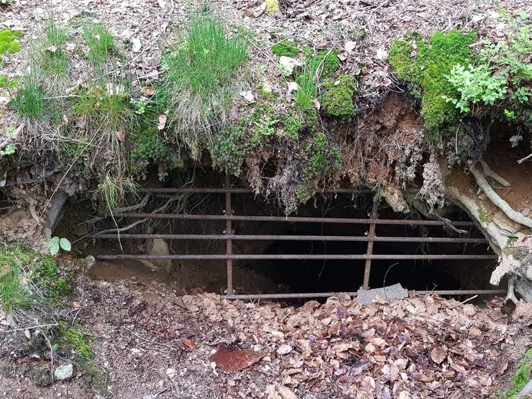 Dawne wejście do kopalni żółtej kredy – trasy piesze | Komoot