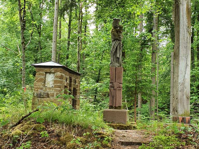 Stauffenberg Memorial Routes for Walking and Hiking | Komoot