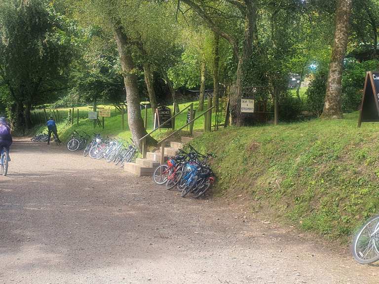 The Camel Trail Tea Garden – River Camel loop from Padstow | bike Tour ...