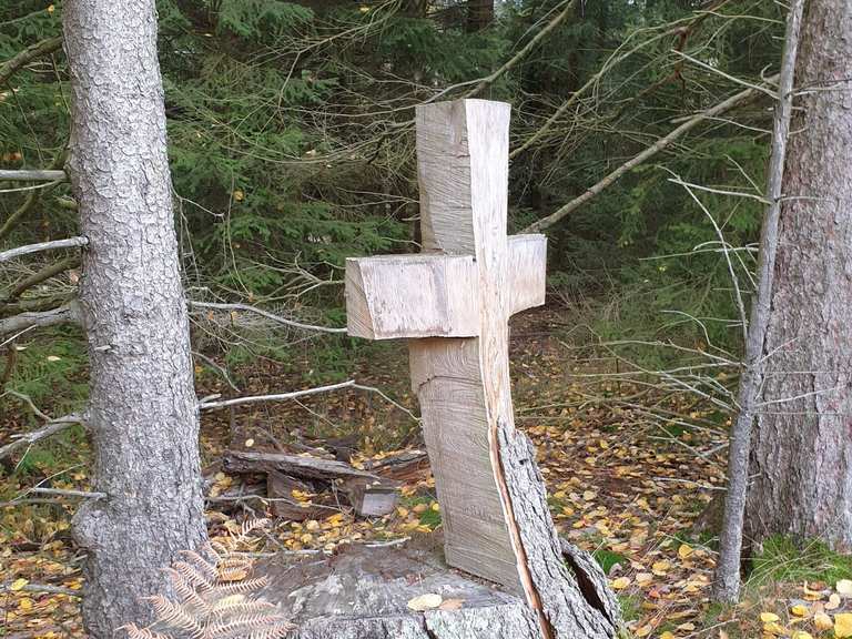 Wooden Cross in Tree Stump – Hikes & How to Get There | Komoot