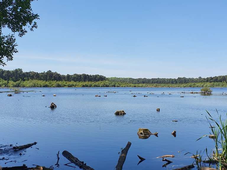 Anello di Blakemere & Hatchmere Nature Reserve — Delamere Forest ...