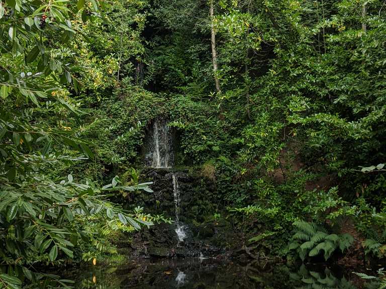 Tillingbourne Waterfall (periodically) Routes for Walking and Hiking ...