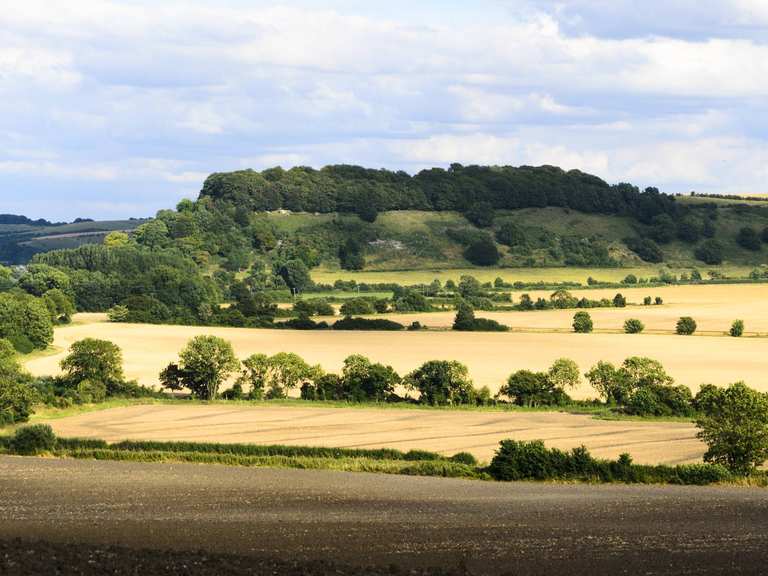 Sundon Hills Country Park Routes for Walking and Hiking | Komoot