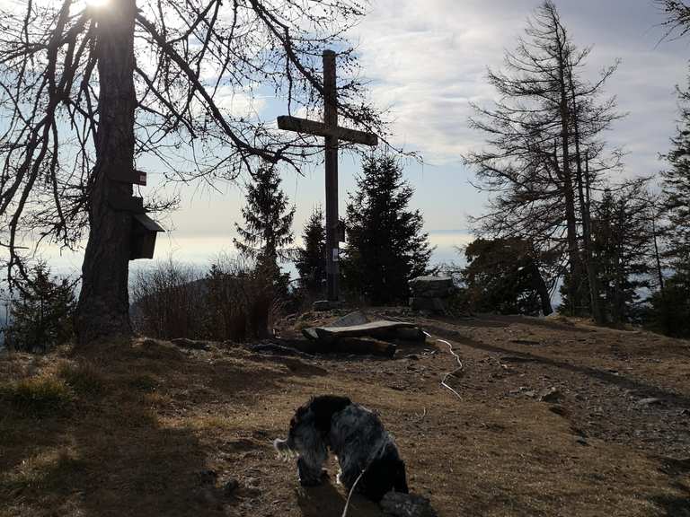 Hoher Zetz wandelroutes en hikes | Komoot