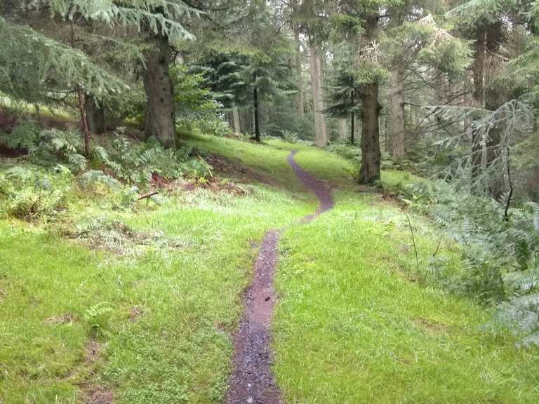 Il percorso Blu e il percorso Rosso fanno il giro da Newcastleton ...
