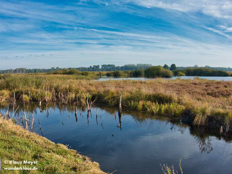 Holzbohlenweg – Feuchtgebiete im Hiller Moor Runde von Hille | hike ...