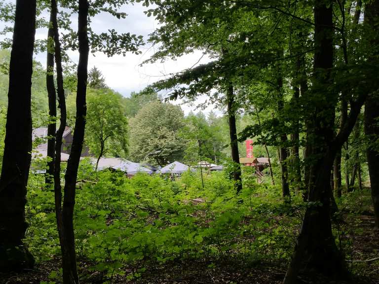 Naturfreundehaus Kirschheck Routes for Walking and Hiking | Komoot