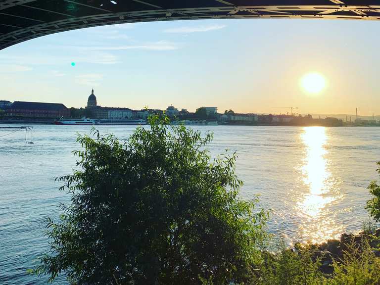 Neues Rheinufer mit Blick auf Mainz Cycle Routes and Map | Komoot