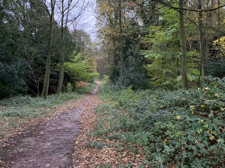 Clumber Park - Mountain Bike Trails & Tracks | Komoot