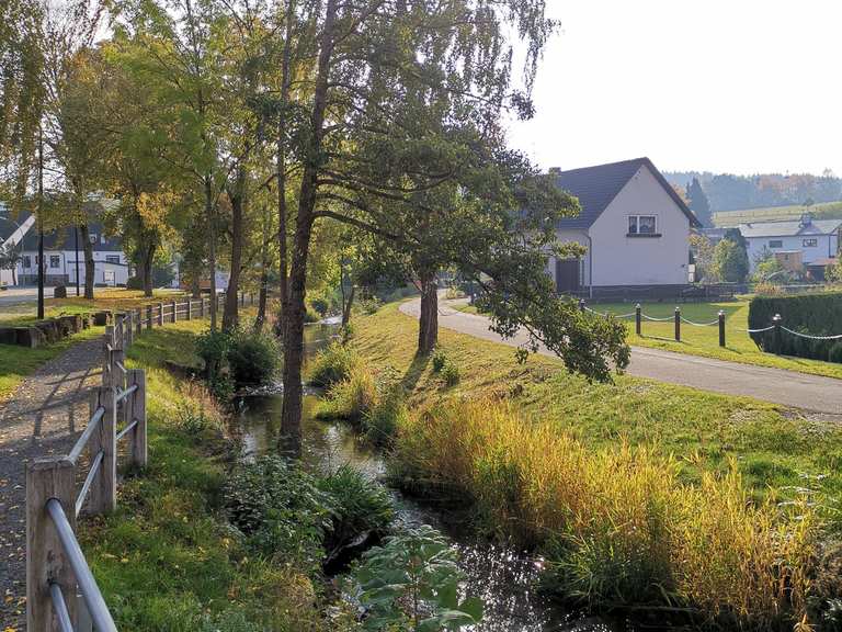 Etappe 8: Von Hallenberg nach Medelon – Sauerland-Höhenflug | Wanderung ...