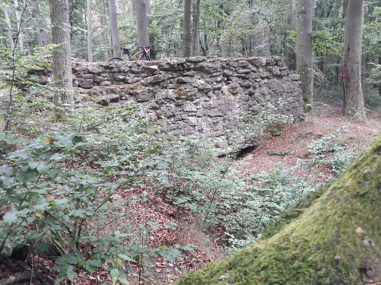 Burgruine Schauerberg: Mountainbike-Touren und -Trails | komoot