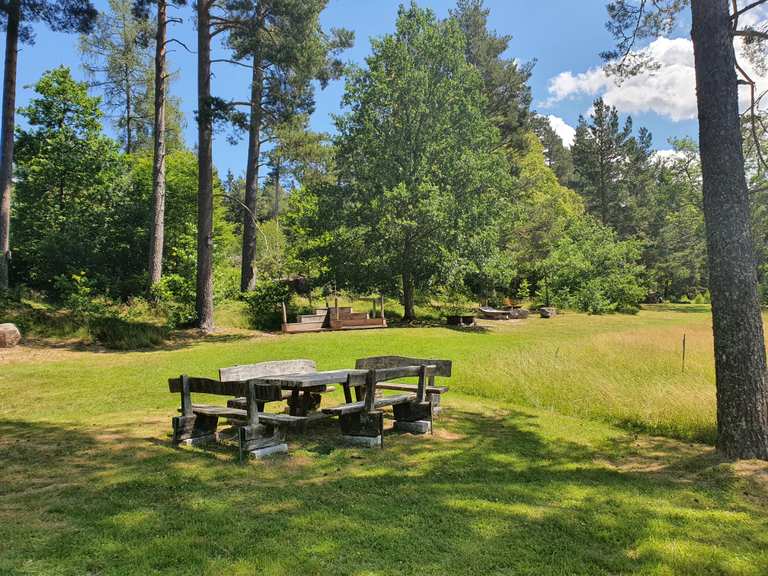 Wildtiergehege Salvest Routes for Walking and Hiking | Komoot