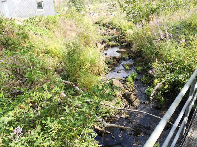 Ponts en bois et sentier sur l’Elbbach - Sentiers et pistes de VTT | Komoot