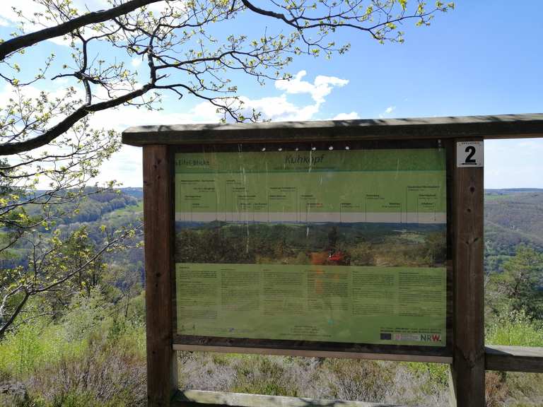 View from Kuhkopf – Hiking & Cycling Routes | Komoot