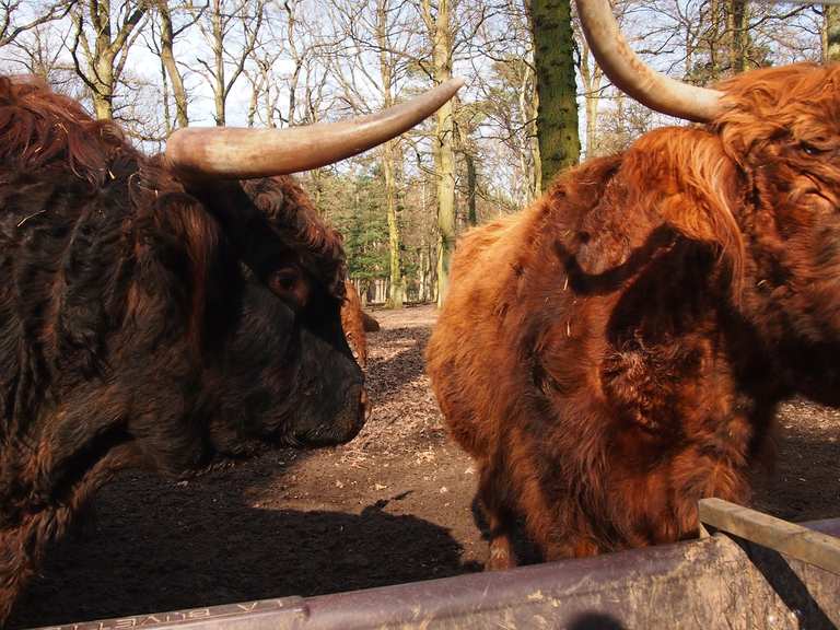 Wildpark „Alte Fasanerie” Hanau: Mountainbike-Touren und -Trails | komoot