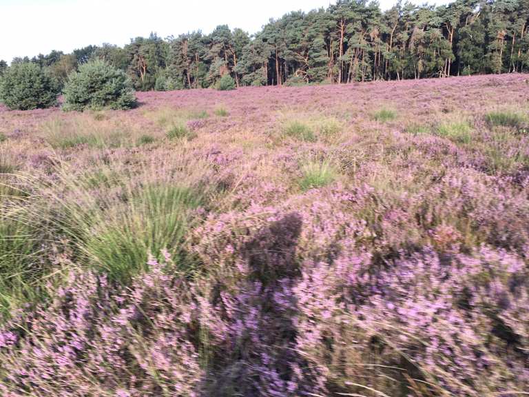 Strabrechtse Heide & Beuven fietsroutes en kaart | Komoot