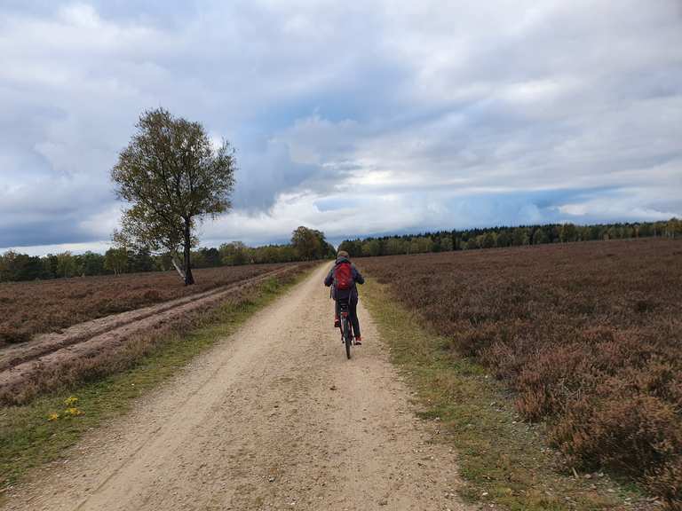 Rundtour Osterheide, Totengrund, Wilseder Berg - Cycle Routes and Map ...