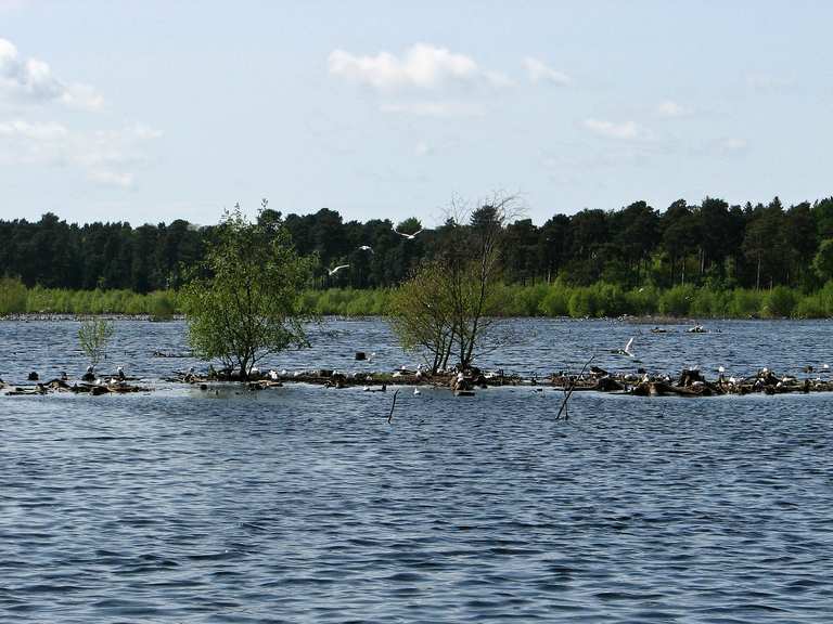 Blakemere Moss Routes for Walking and Hiking | Komoot