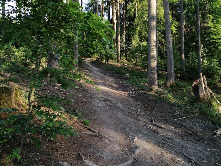 Schöner Trail von Oberschönbach: Mountainbike-Touren | komoot