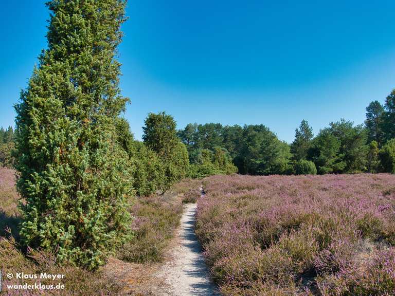 Heiliger Hain: Wanderungen und Rundwege | komoot