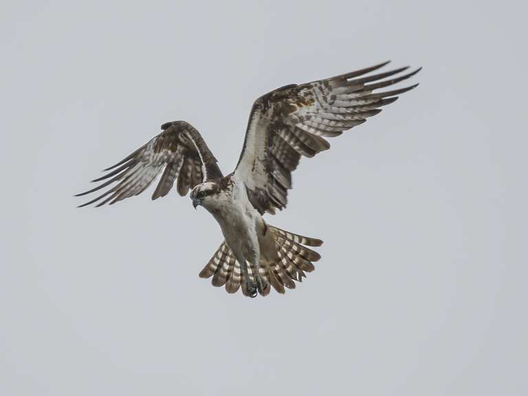 Roundhouse Cafe Loch Doon - East Ayrshire, Scotland | Cycling Tips ...