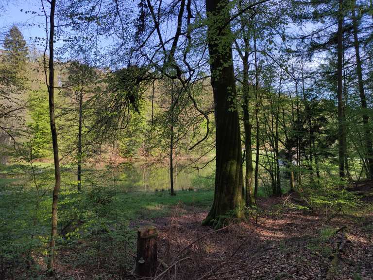 Michelsee bei Aglasterhausen-Michelbach : Radtouren und Radwege | komoot