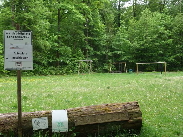 Waldspielplatz Schefenacker: Wanderungen und Rundwege | komoot