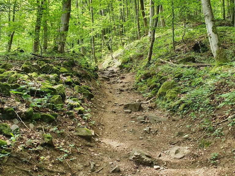 Steiler aber wunderschöner Wanderweg Routes for Walking and Hiking | Komoot