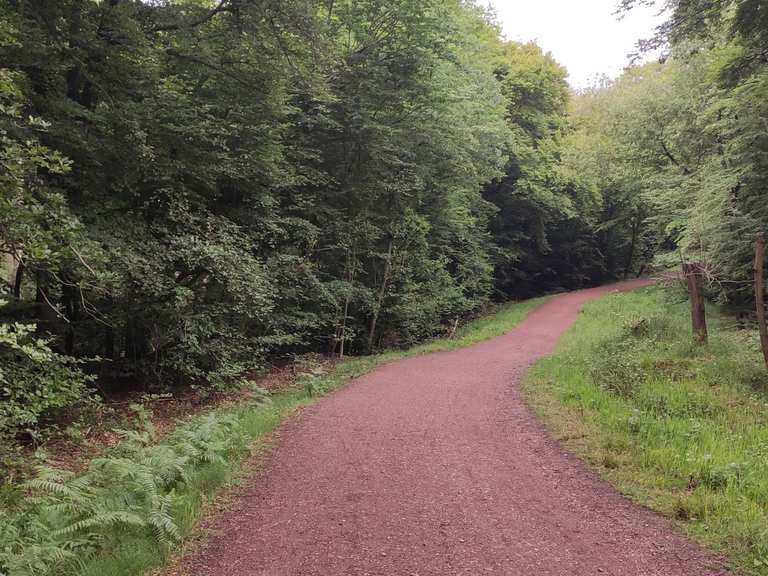 Green Ride, Epping Forest Mountain Bike Trails & Tracks | Komoot