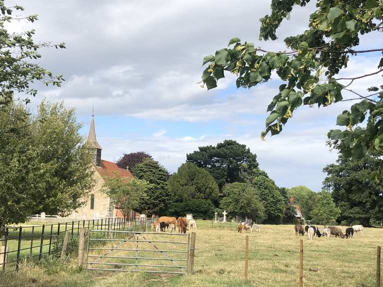 St Germanus Church, Faulkbourne Routes for Walking and Hiking | Komoot