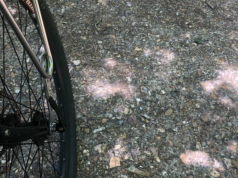 Riddlesdown Collegiate Climb: Mountainbike-Touren | komoot