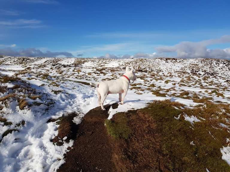 Benarty Hill Routes for Walking and Hiking | Komoot