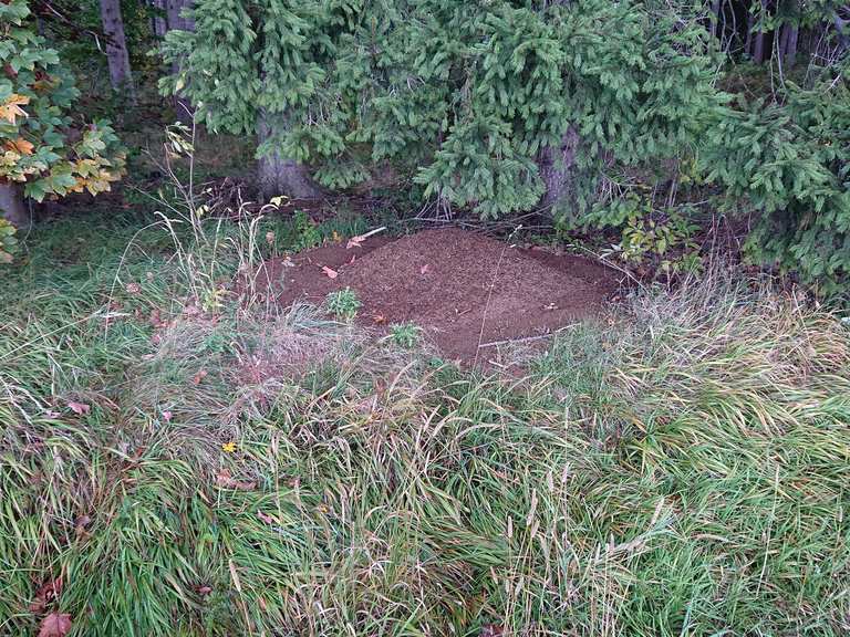 Anthills at the Edge of the Forest – Cycling Routes & How to Get There ...