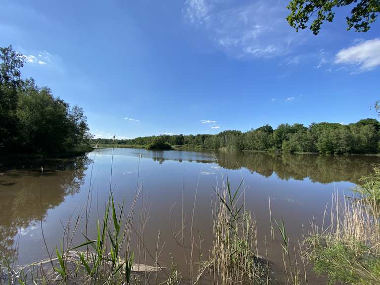 Etangs de mutigny – Village reculé Rondje vanuit Champillon | wandeling ...