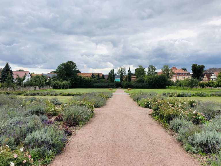Orangerie in Bendeleben: Wanderungen und Rundwege | komoot