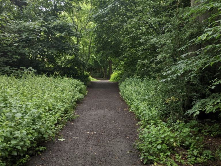 Water of Leith Walkway Routes for Walking and Hiking | Komoot