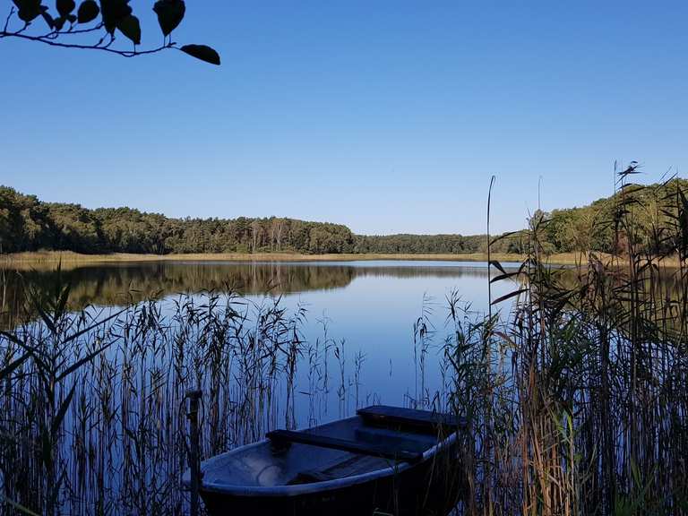 Frauensee – Rastplatz am Frauensee Runde von Prieros | Wanderung | Komoot