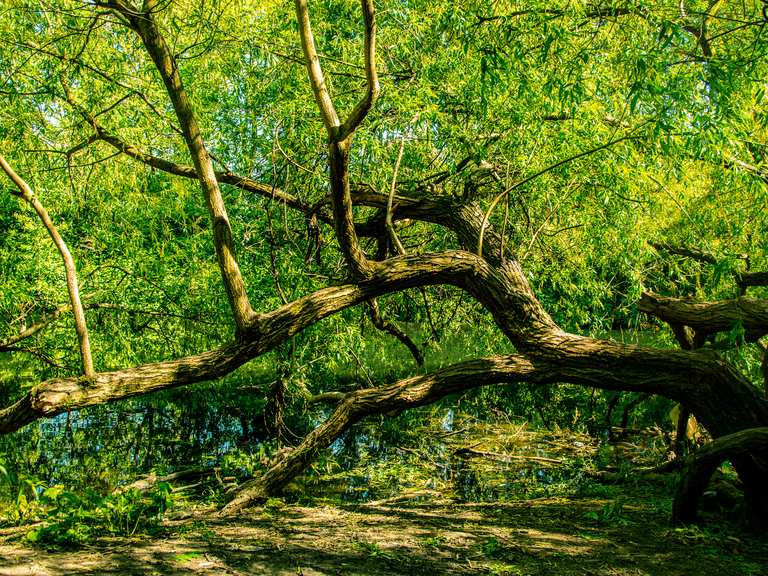 Hackney Marshes Cycle Routes and Map | Komoot