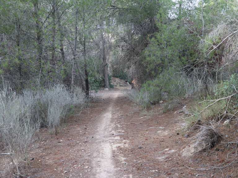 Parque Natural de la Serra Gelada — Circular desde Altea por el "km más ...