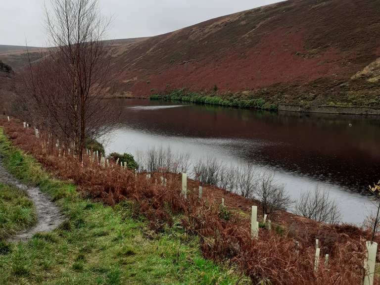 Blakeley Reservoir Routes for Walking and Hiking | Komoot