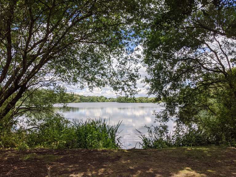 The Mapledurham Dash – The River Thames loop from Little Heath | ride ...