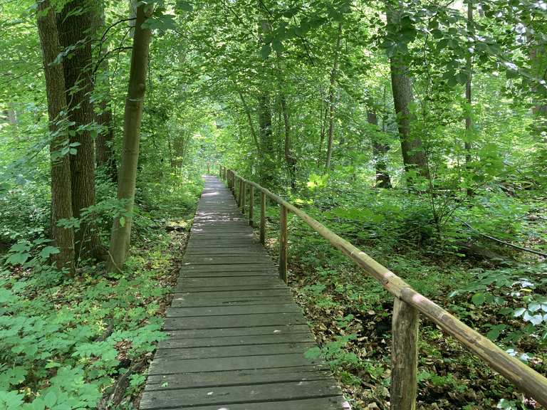 Lenné-Park am Schloss Lanke Routes for Walking and Hiking | Komoot
