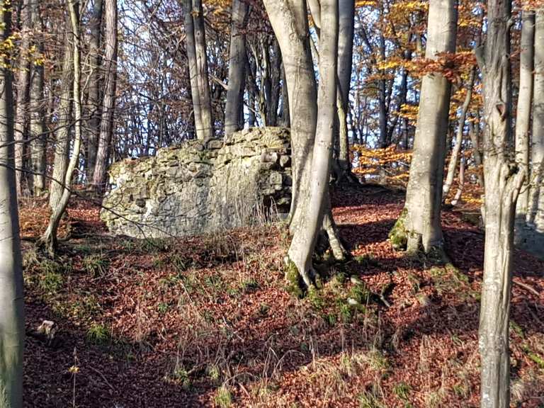 Burgruine Schauerberg: Mountainbike-Touren und -Trails | komoot