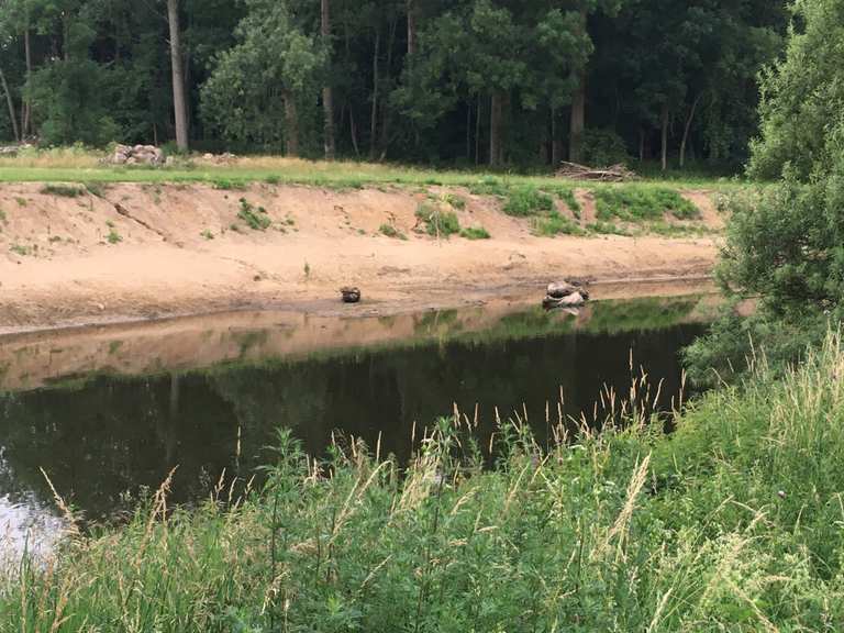 Ems Renaturierung Anglerheim Greven: Wanderungen und Rundwege | komoot