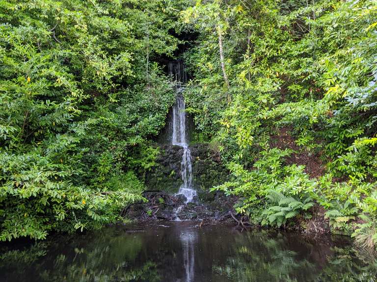 Tillingbourne Waterfall Routes for Walking and Hiking | Komoot